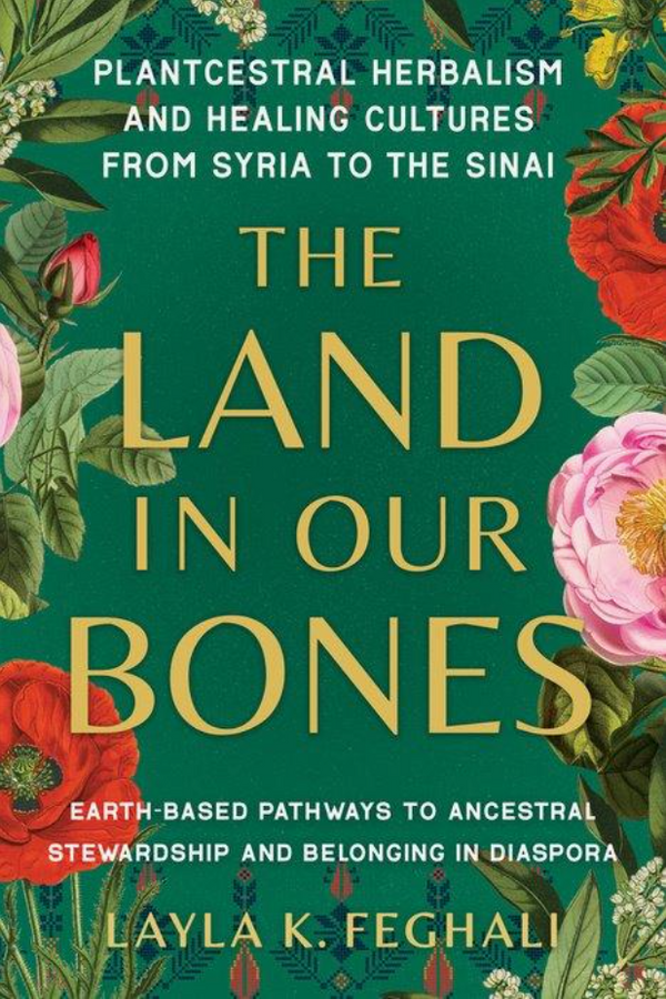 The Land In Our Bones – Spiritus Arcanum